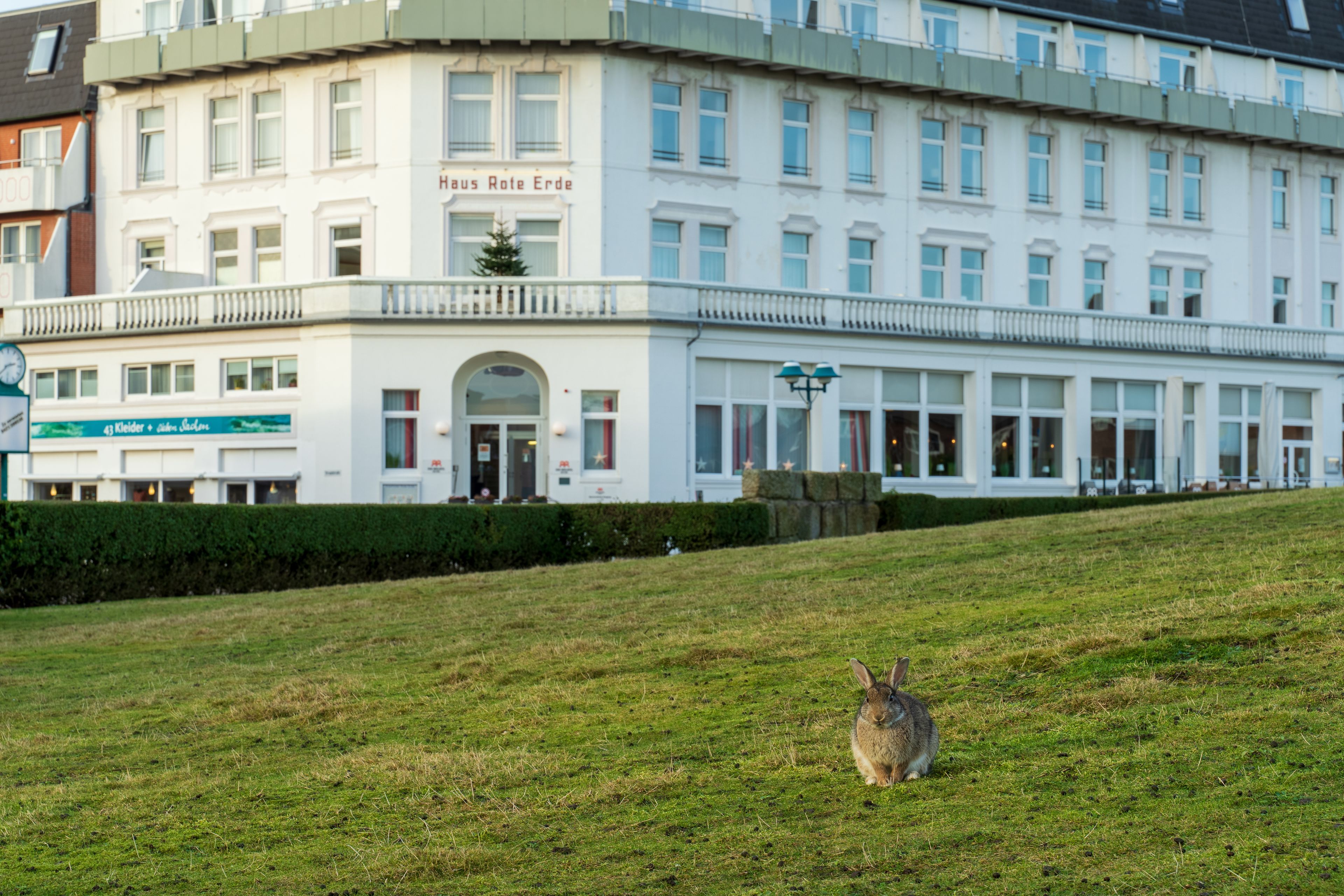 Inselhotel Rote Erde i Borkum - Boka de bästa erbjudandena!
