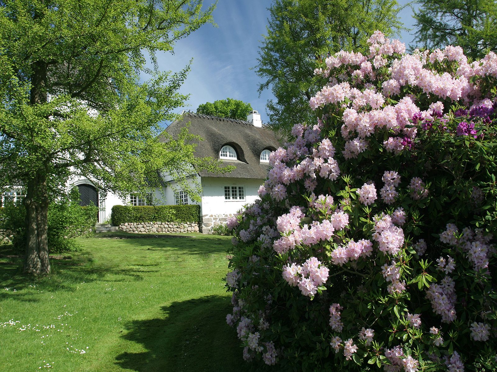 Comwell Borupgaard i Snekkersten - Boka de bästa erbjudandena!